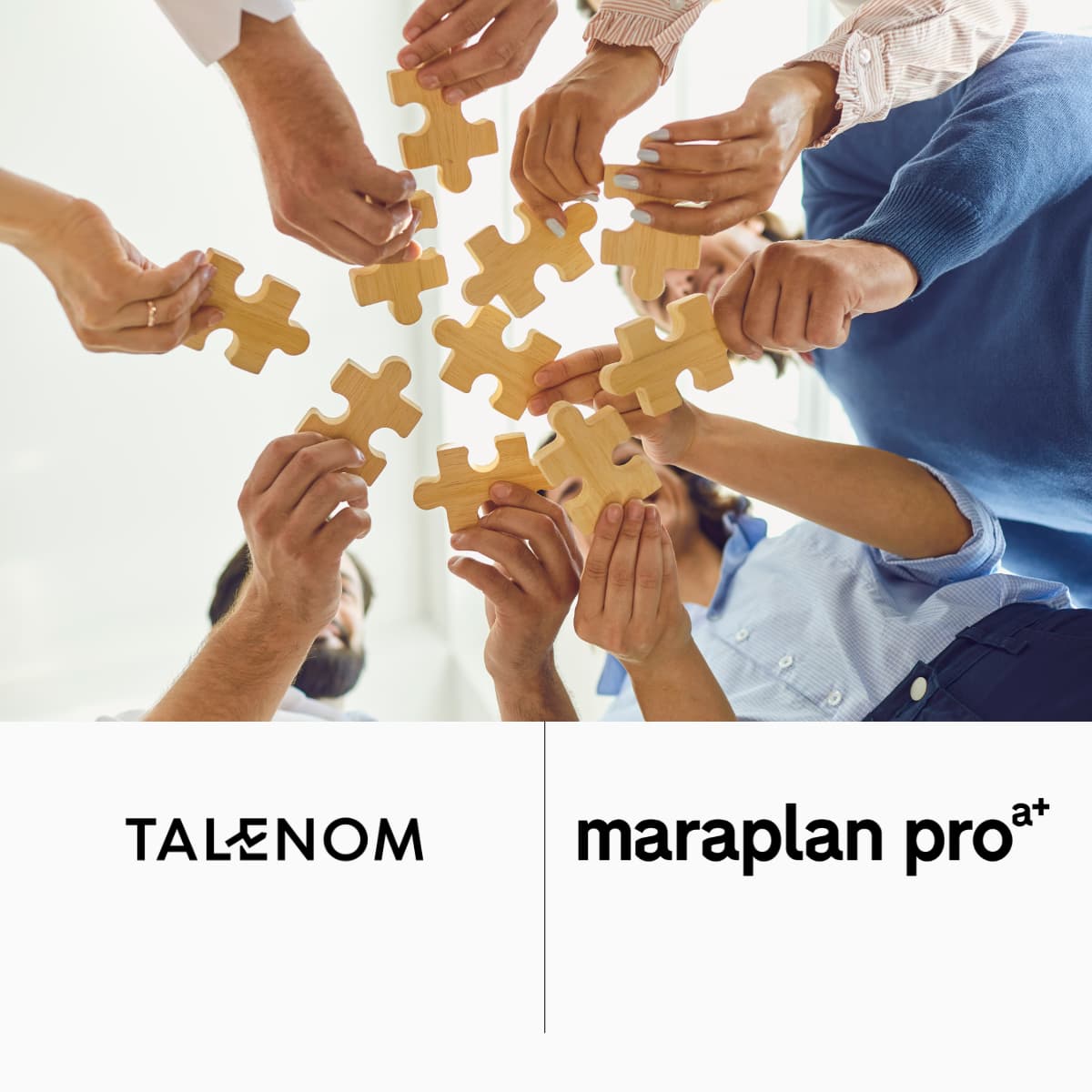 MaraPlan Pro on Talenomin kumppani
